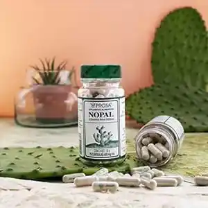 Tienda | Prosa Productos Naturales